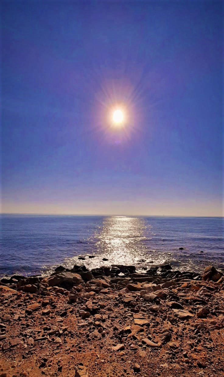 Launch of new journal section: “Back to the light. Stories of healing ...